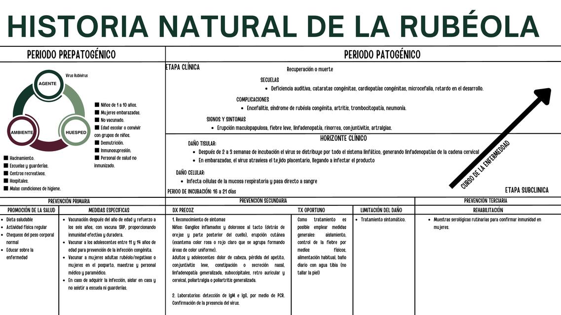 HISTORIA NATURAL DE LA ENFERMEDAD RUBÉOLA | Cristhell | uDocz