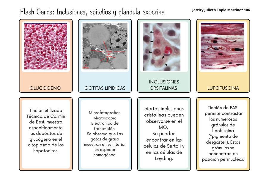 Flash Cards | Jatziry | uDocz