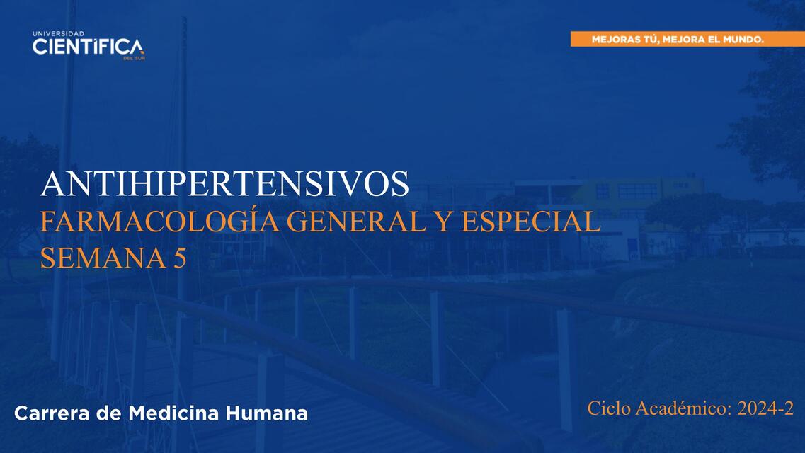 Antihipertensivos | Jesus | uDocz