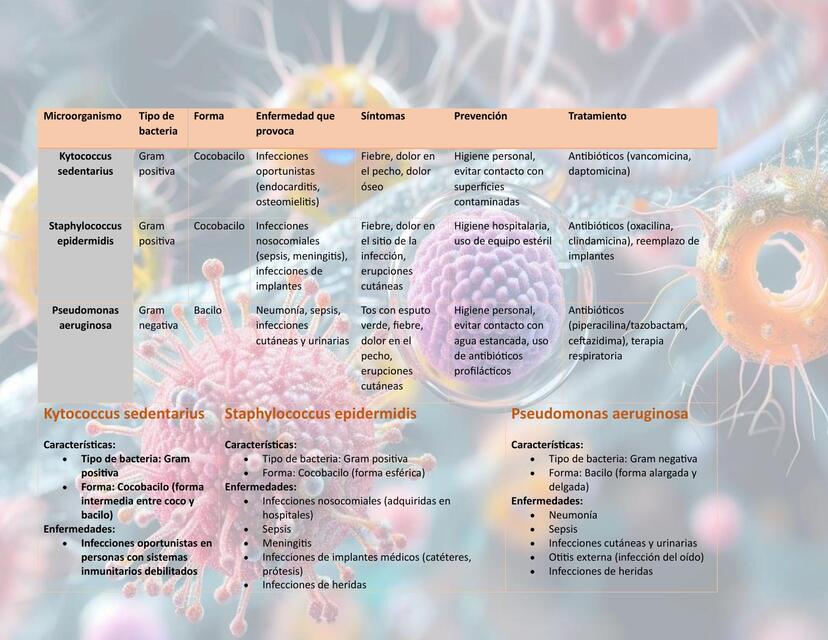 Microorganismo | ELEDIN YAJAIRA PALOMEC ANTONIO | uDocz
