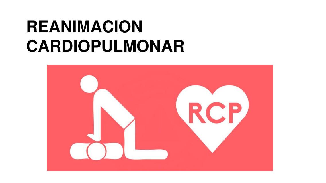 RCP | SANTAMARIA MAMANI | uDocz
