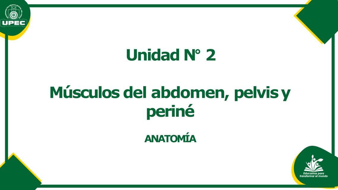 Músculos abdomen pelvis y periné UPEC | Damián | uDocz