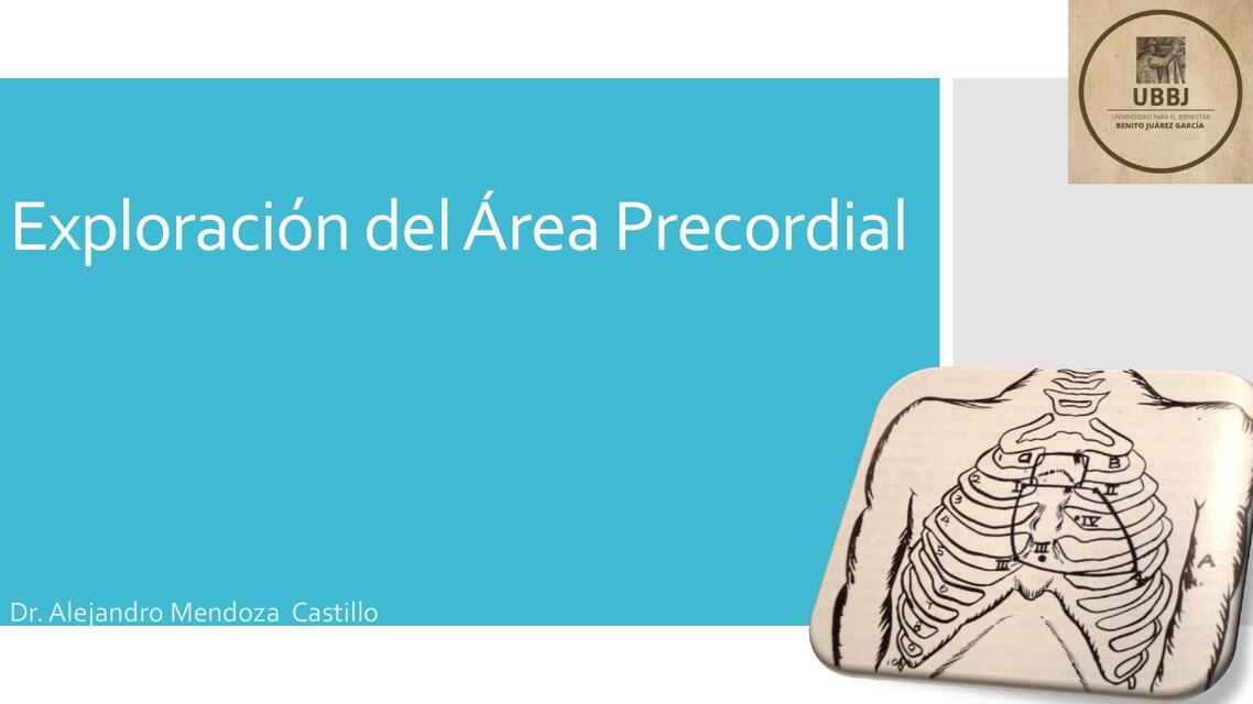 Exploracion precordial | Mafer González | uDocz