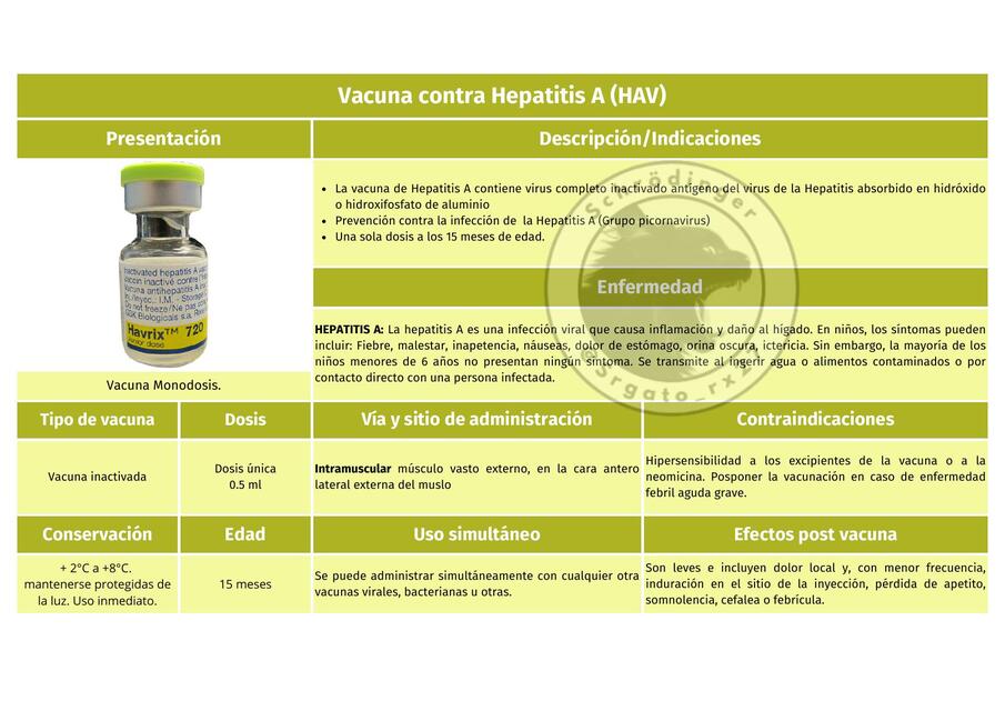 Vacuna contra Hepatitis A (HAV) | Piero | uDocz