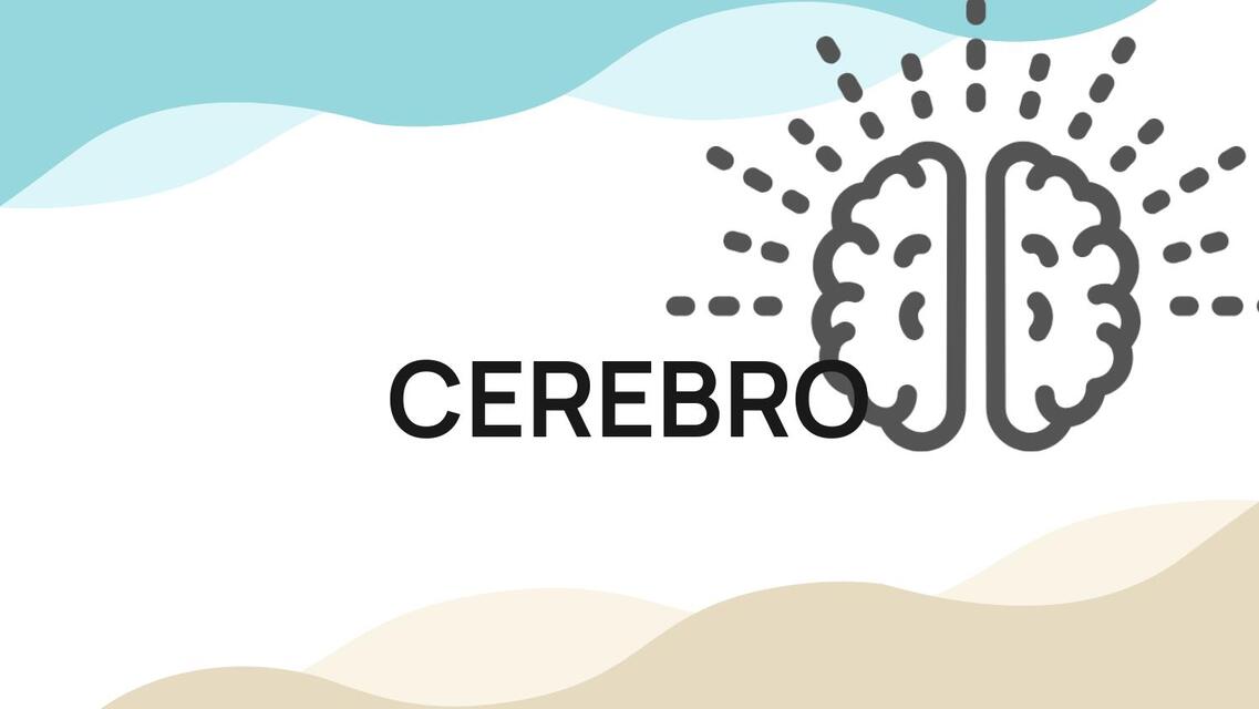 02 CEREBRO Y NUCLEOS DE LA BASE | LCE | uDocz