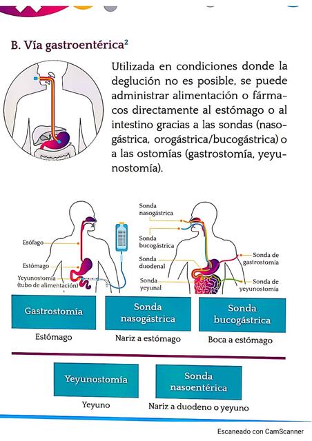 vía oral15 12 06 29 | Apuntes Apuntes | uDocz
