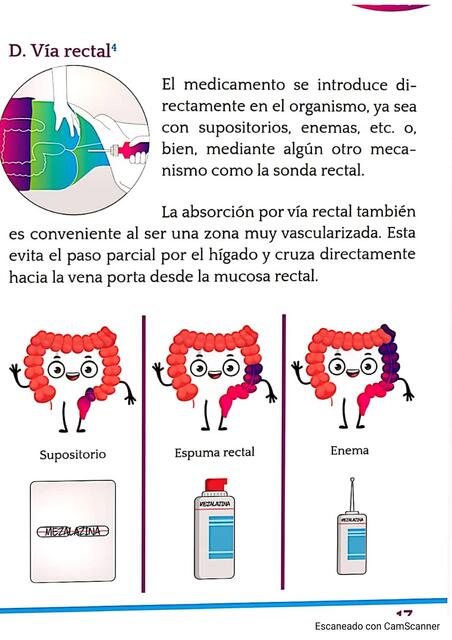 vía rectal 15 12 06 30 | Apuntes Apuntes | uDocz