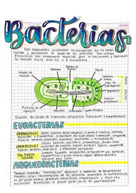 LECTURA 7 | vania brighit peña rimachi | uDocz