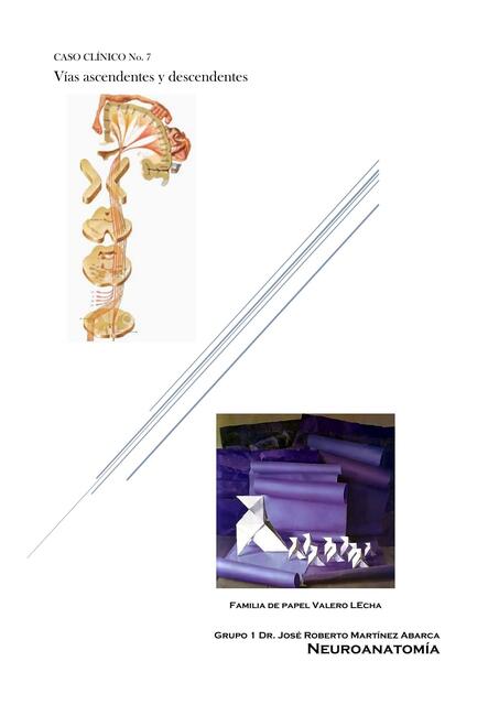 CASO CLÍNICO No 7 | Medical Student | uDocz