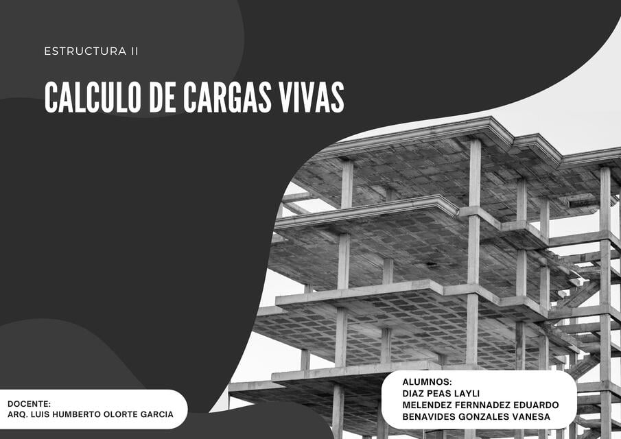 Calculo de cargas vivas | Eduardo | uDocz