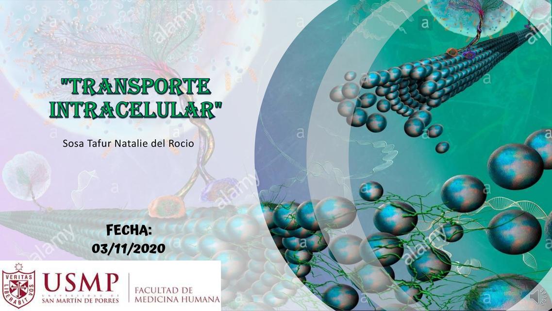 TRANSPORTE INTRACELULAR | Natalie Sosa | uDocz