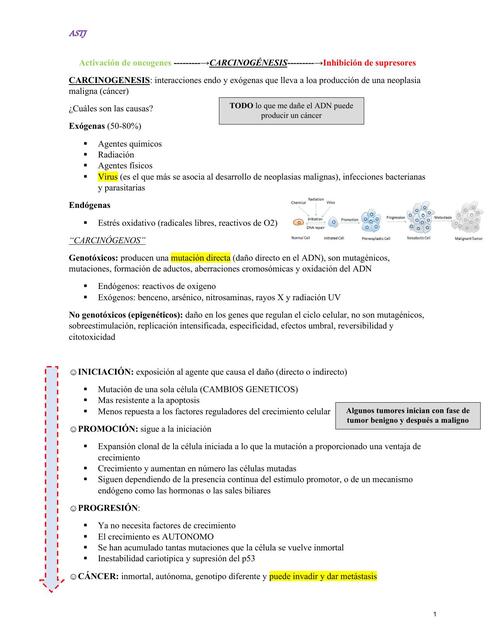 Copia de ASTJ 2 | Sofía Andrade | uDocz