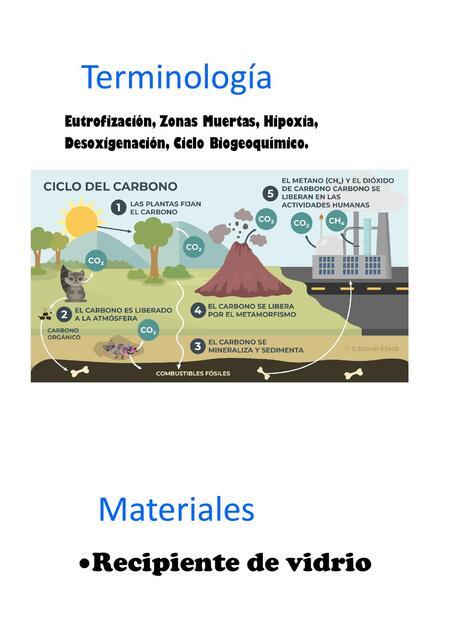 Terminología | Magaly | uDocz