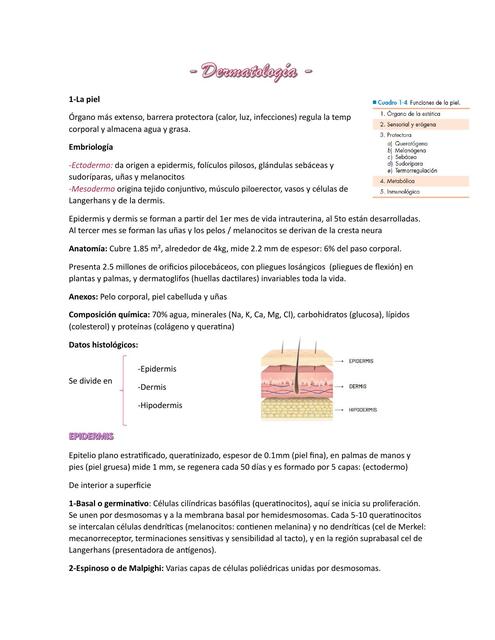 Bloque 1 Dermatología | Erika Airam Moreno Alvarez | uDocz