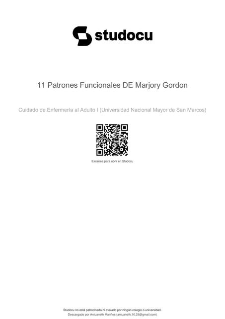 11 patrones funcionales de marjory gordon | Antuaneth | uDocz