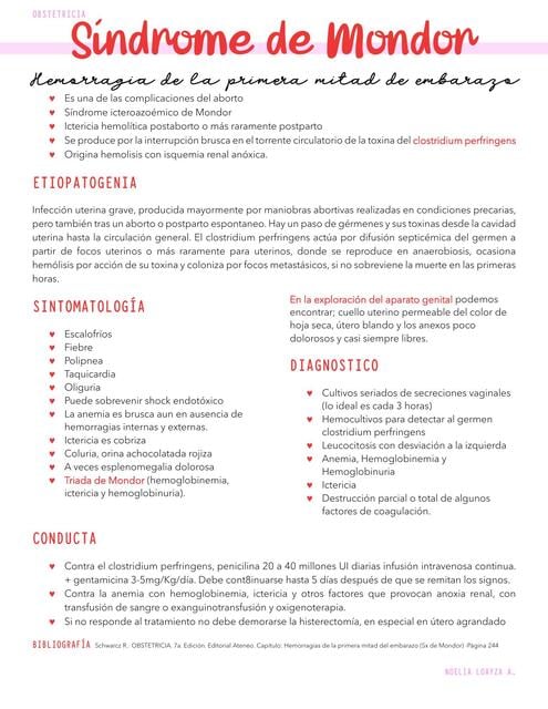 OBSTETRICIA | uDocz