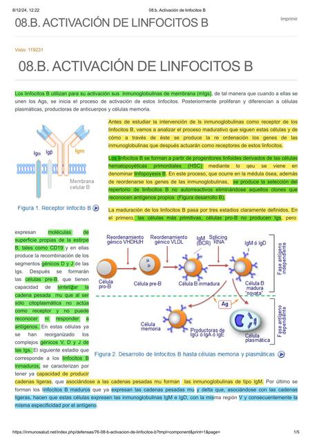 08 b Activación de linfocitos B1 | Cristian | uDocz