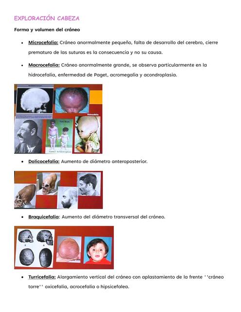 EXPLORACIÓN CABEZA | PROPEDÉUTICA Y SEMIOLOGÍA | FerMed | uDocz