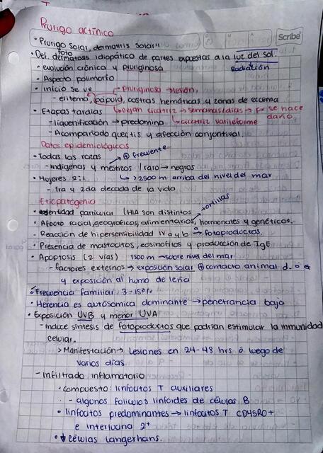 prurigo actínico | K VANESSA | uDocz