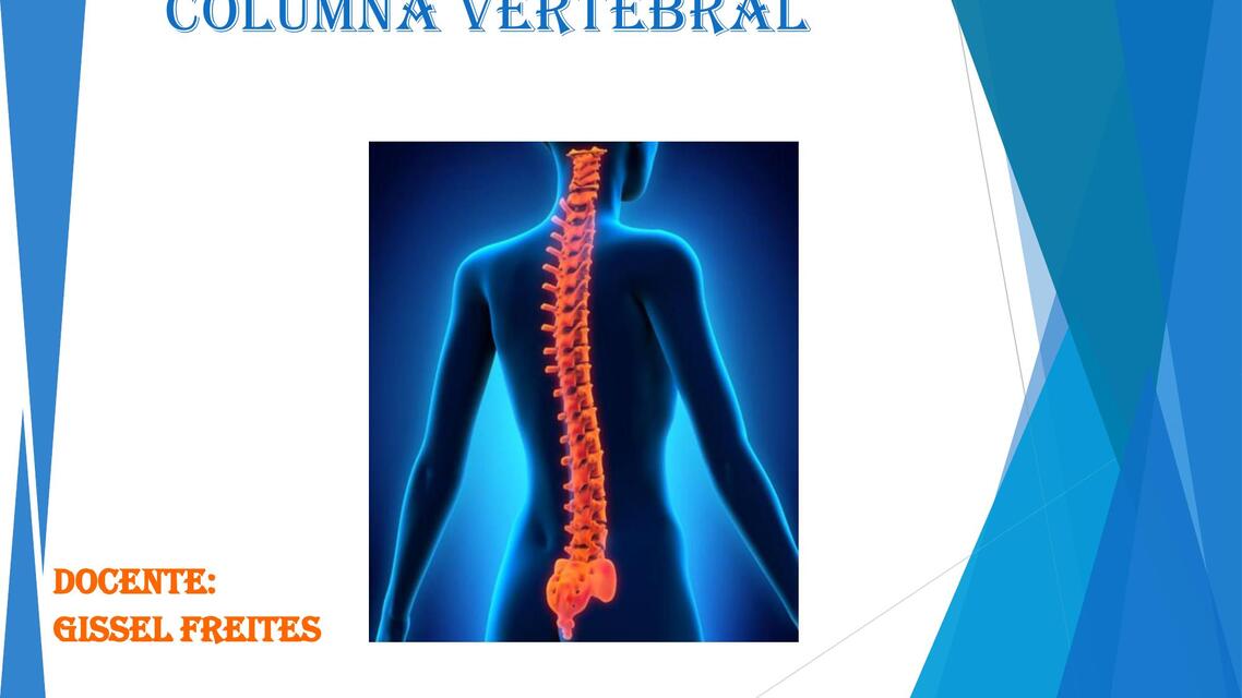 Diapositivas de Columna Vertebral | UVL | uDocz