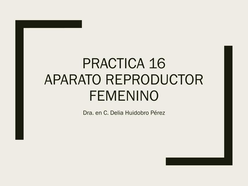Practica 16 | Stayce Verne | uDocz
