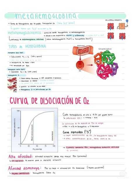 Curva de disociación y P50 | Rafaela | uDocz