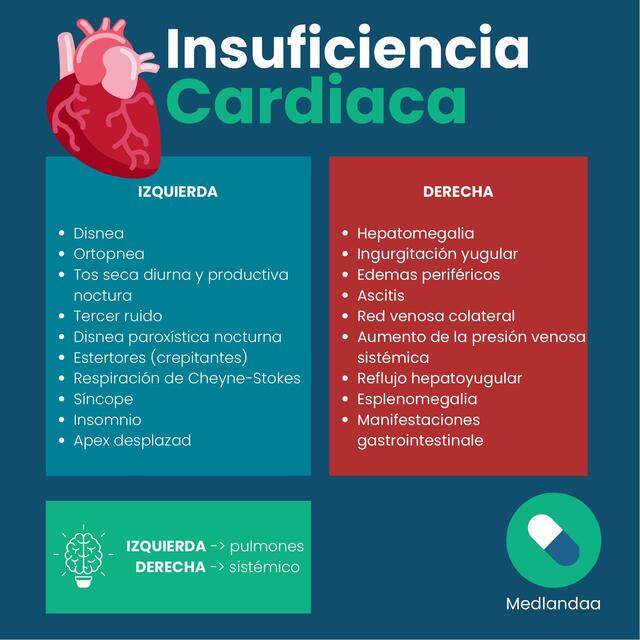 Insuficiencia cardiaca izquierda vs derecha | Paloma Landa | uDocz