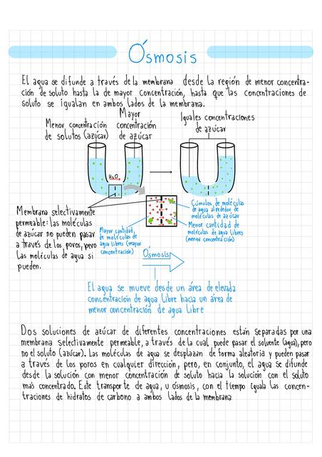 Ósmosis | Esteban Nahuel | uDocz