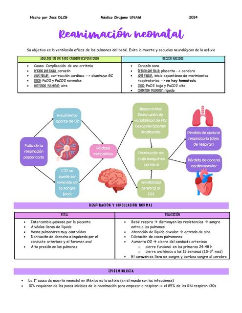 Resumen Manual RENEO 8a edición | YoyoMedics | uDocz
