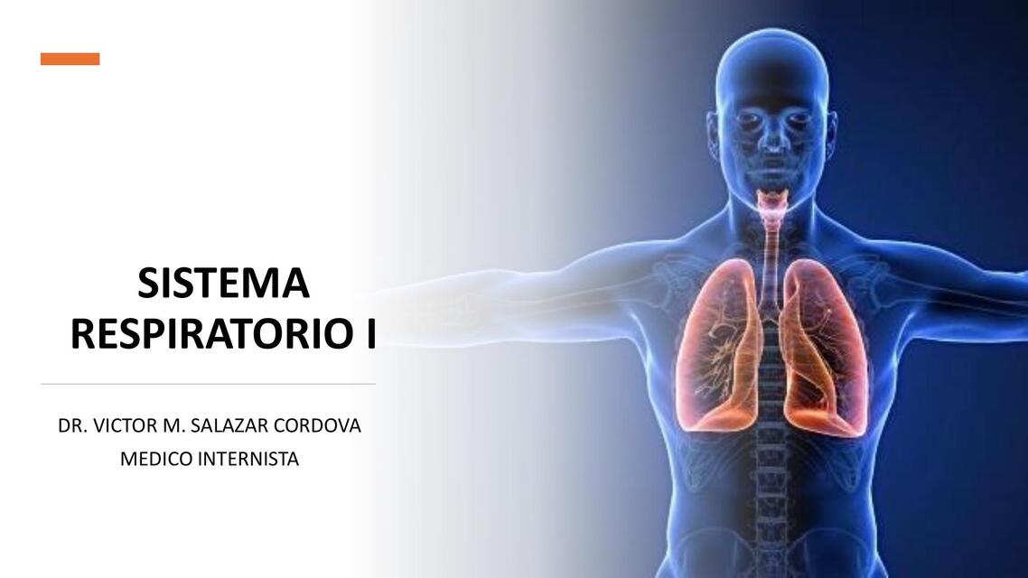 SISTEMA RESPIRATORIO I | Kiara Huamaní Avalos | uDocz