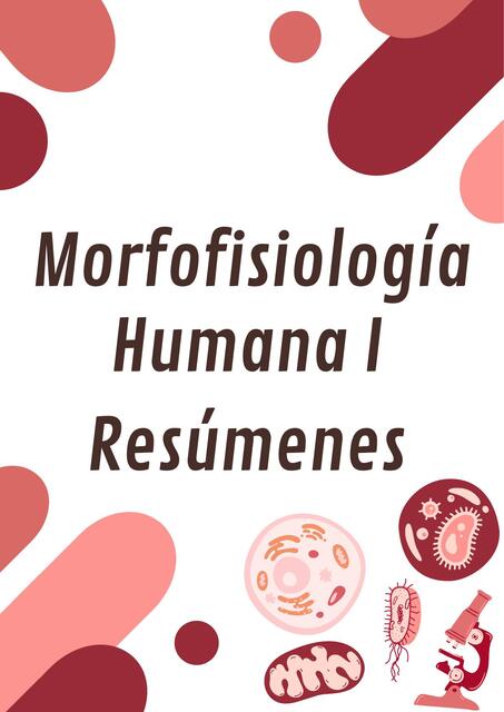Morfofisiología Humana I Resúmenes | Ysaac Garcia | uDocz