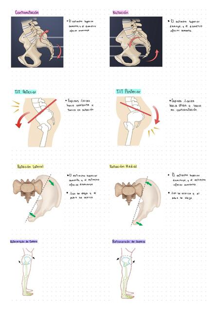 movimientos de cadera | Antonia | uDocz