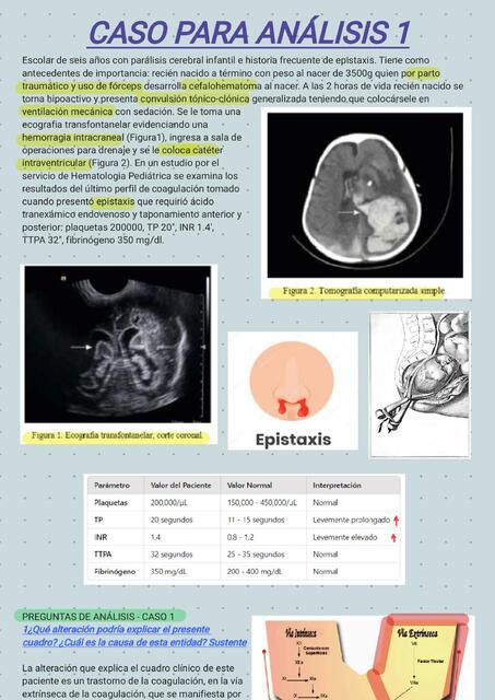 casos de actividad individual morfo 1 ucsur | 1 ciclo | uDocz