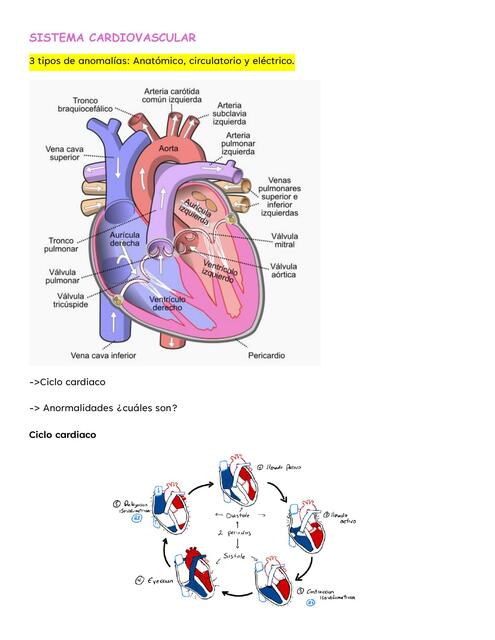SISTEMA CARDIOVASCULAR | PROPEDÉUTICA Y SEMIOLOGÍA | FerMed | uDocz