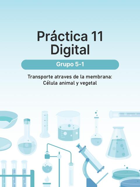 practica 11 digital | Montserrat | uDocz