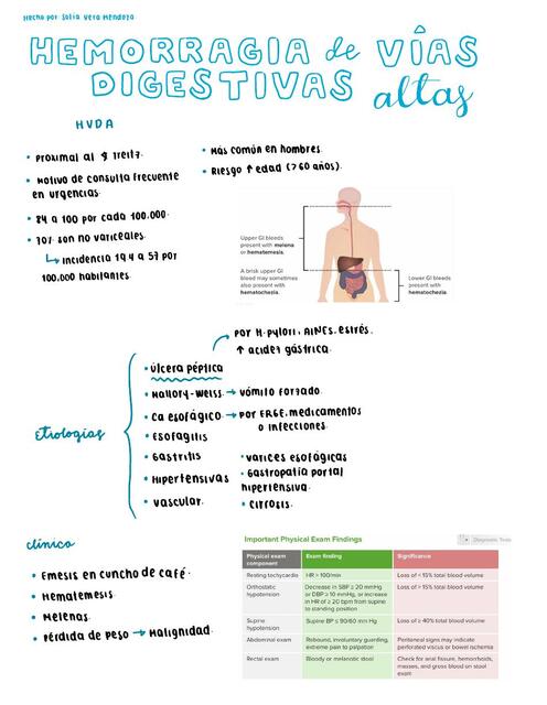 Hemorragia De Vías Digestivas Altas | Sofía Vera | uDocz