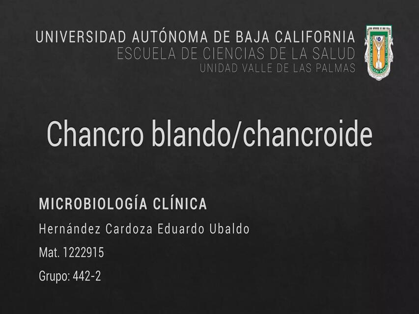 Chancro blando o Chancroide | ChemCoderObsidian | uDocz