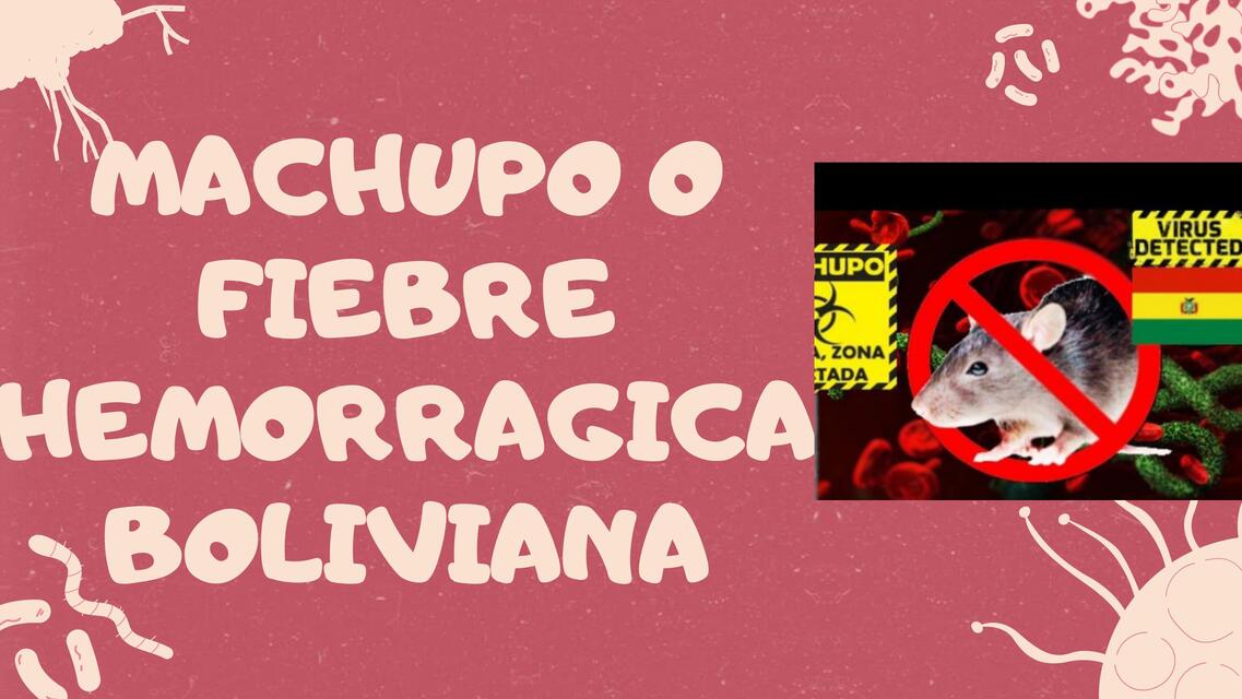Machupo o fiebre hemorrágica boliviana | CADEL | uDocz