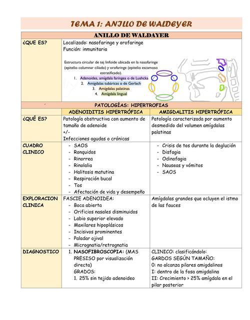 PATOLOGIA HIPERTROFICA - ADENOIDITIS HIPERTRÓFICA Y AMIGDALITIS ...