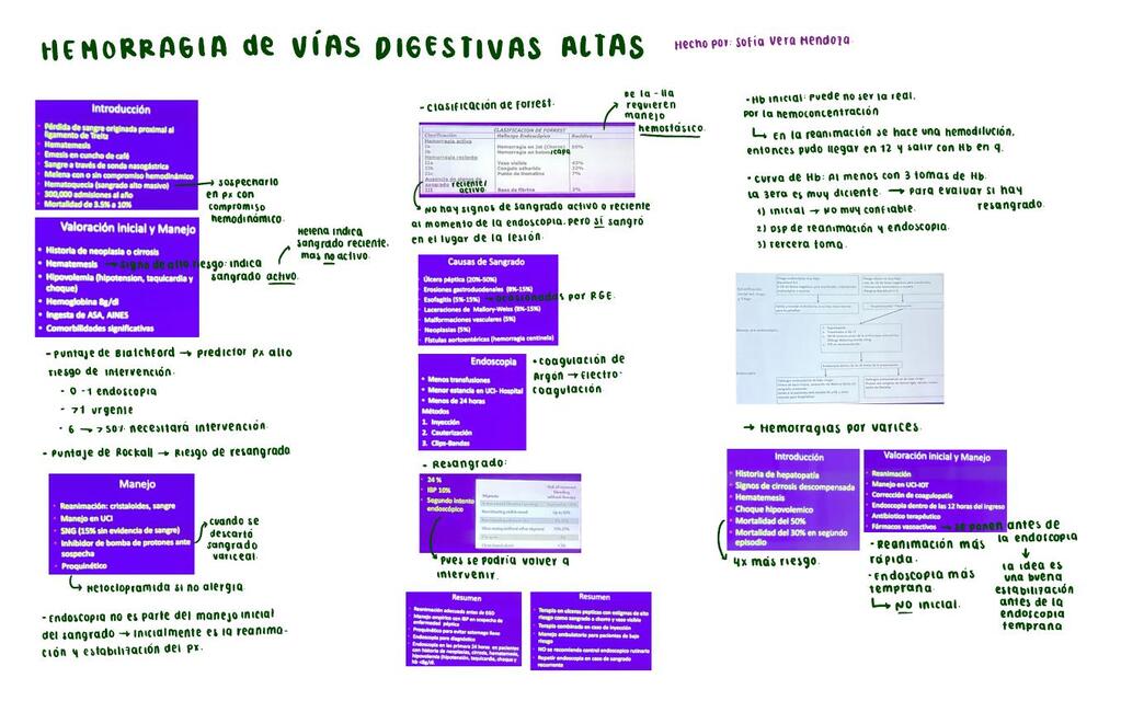 Hemorragia de Vías Digestivas Altas clase | Sofía Vera | uDocz