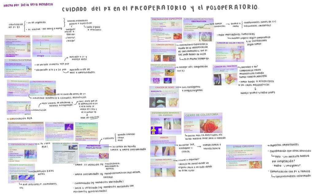 Cuidado del paciente en el preoperatorio y posoperatorio | Sofía Vera | uDocz