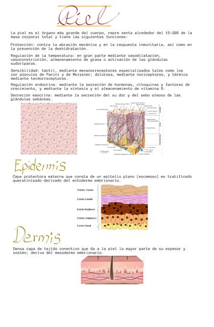 PIEL | Kevin Xobin | uDocz