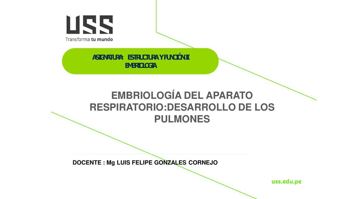 SESION II AP RESPIRATORIO PULMONES DR GONZALES | David Ramos | uDocz
