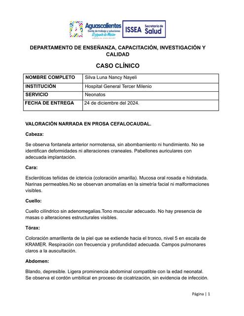FORMATO LINEAMIENTOS CASO CLINICO docx | Fernanda | uDocz