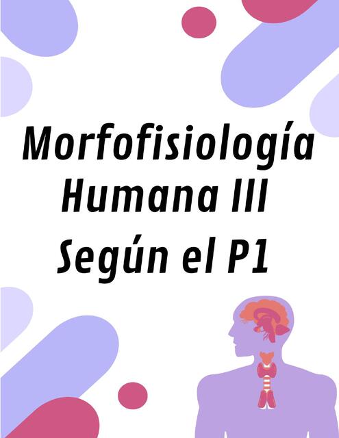 Morfofisiología Humana III Según el P1 | Ysaac Garcia | uDocz