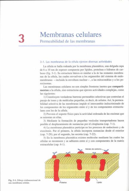 CAP 3 | Ximena | uDocz