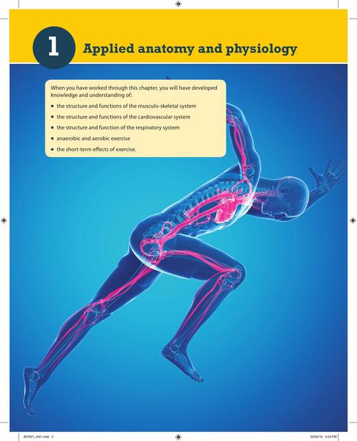 Anatomy and physiology | uDocz