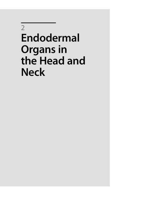The Anatomy of the Human Embryo Endodermal organs | Estudiante Medicina ...