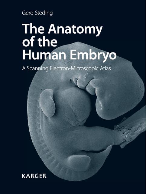 The anatomy of the human embryo: a scanning electron-microscopic atlas ...