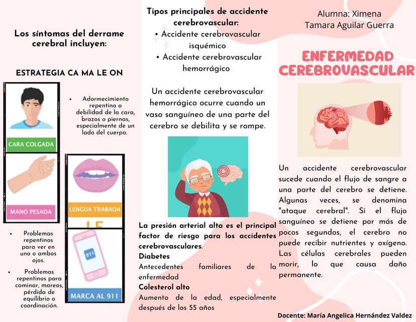 EVC TRIPTICO | XIMENA TAMARA AGUILAR GUERRA | uDocz